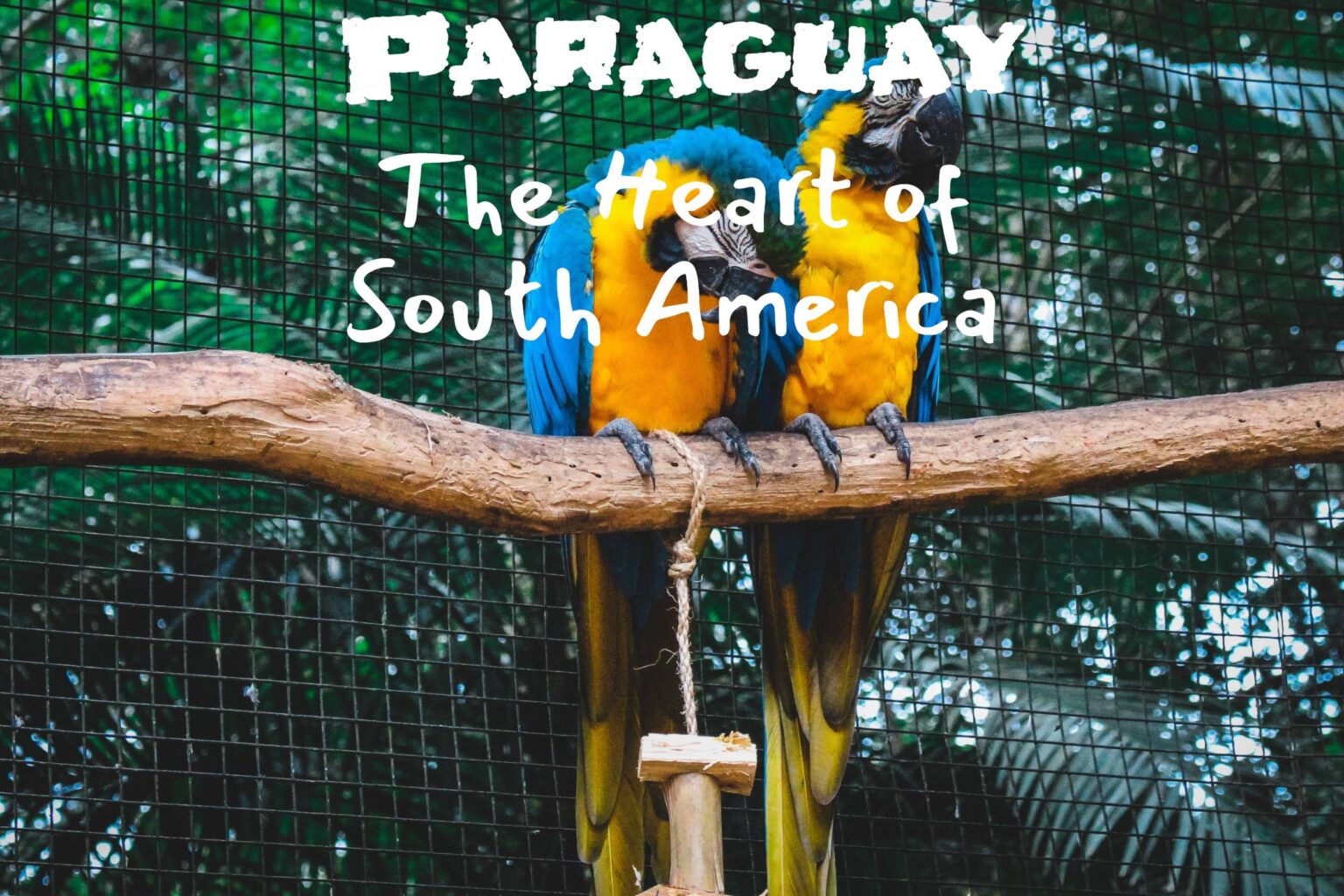 Paraguay: The Heart Of South America – One Ticket Please
